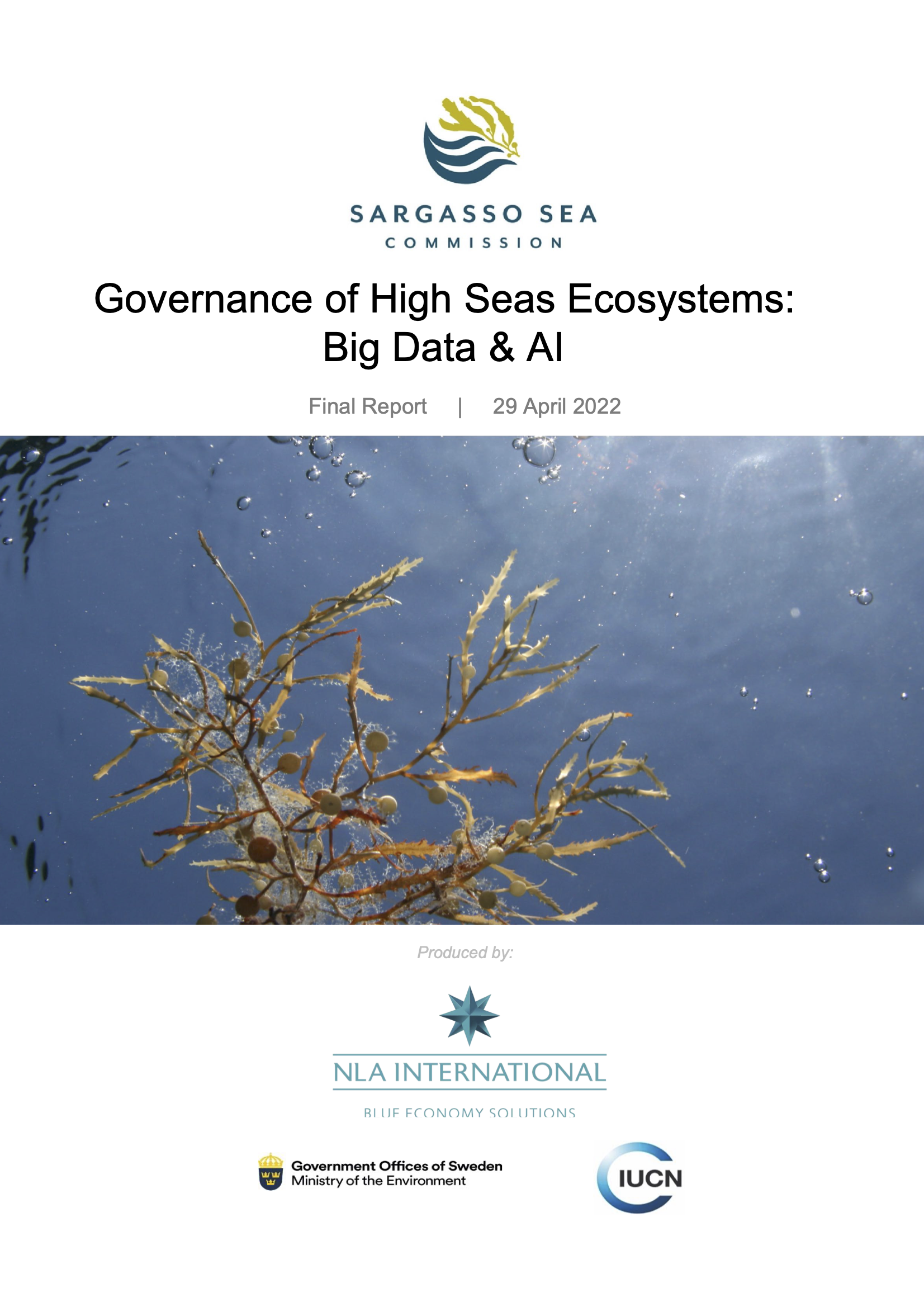 Governance of High Seas Ecosystems: Big Data & AI - Sargasso Sea Commission