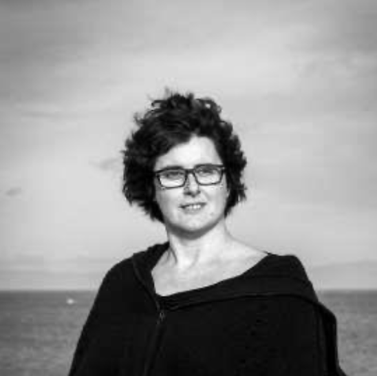 Meet the Sargasso Sea Commission - Sargasso Sea Commission