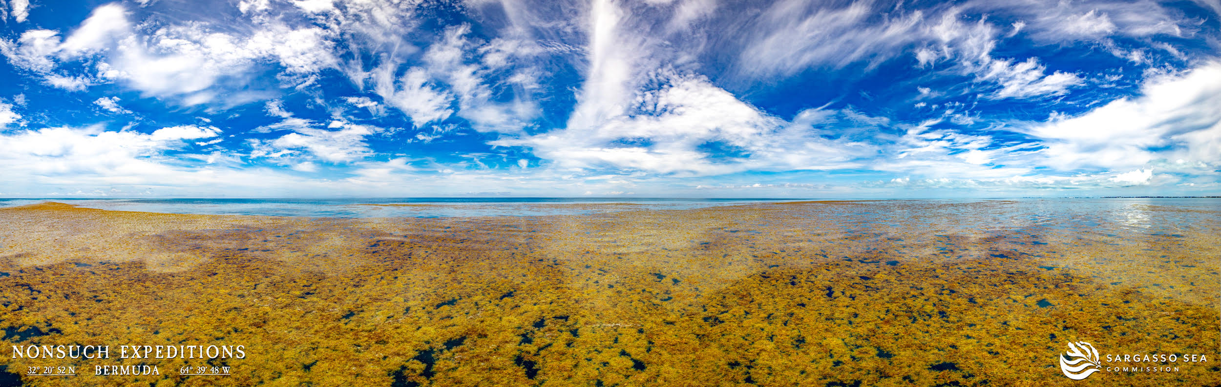 Sargasso Sea Commission