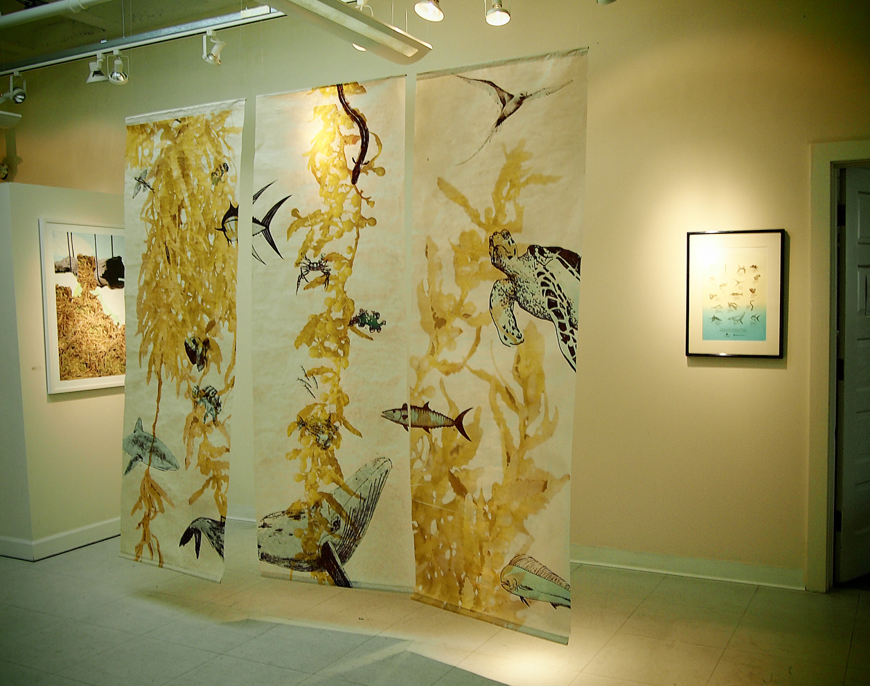 Creative Responses to the Sargasso Sea - Sargasso Sea Commission